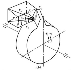 Force analysis of helical gear – ZHY Gear