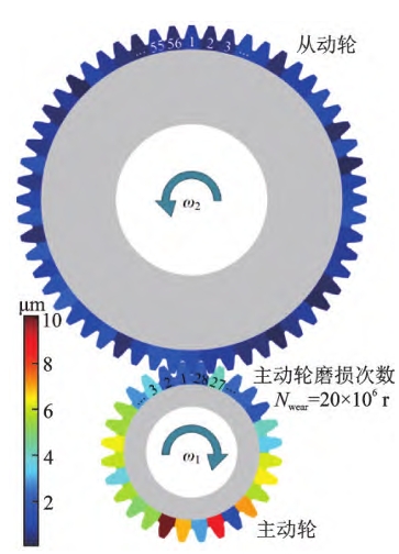 Analysis of Dynamic Wear of Cylindrical Gears – ZHY Gear